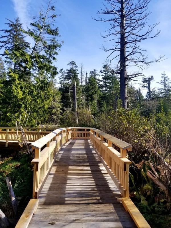 Enjoy this Easy Coastal Hike Through an Old Growth Forest - Rockaway Beach